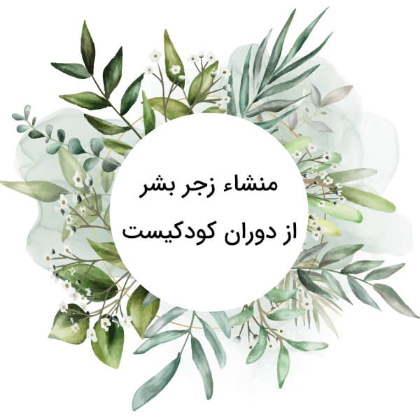 منشاء زجر بشر از دوران کودکیست - بهار شهیدی